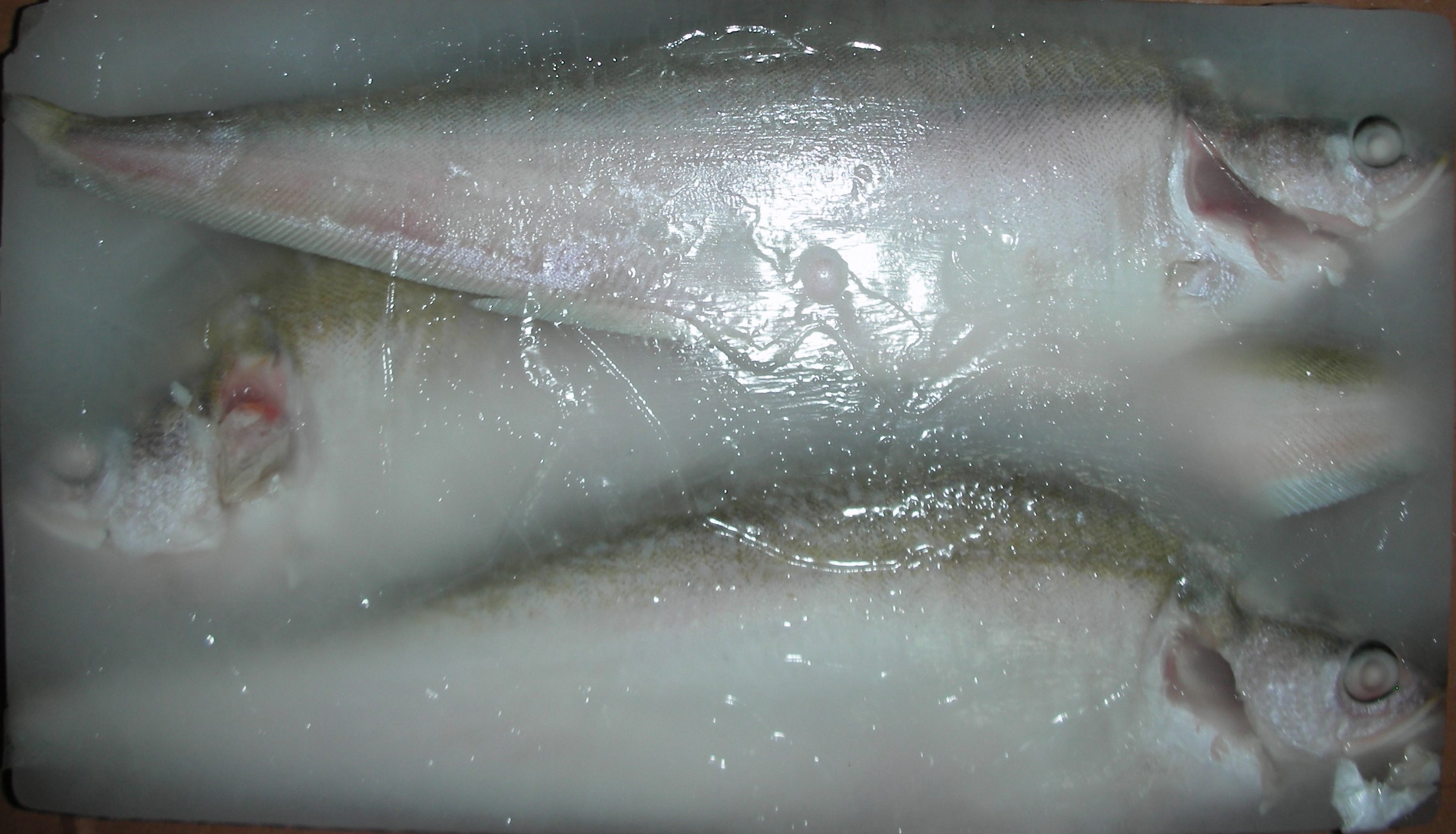 Fisheries - NRB Group Co Ltd